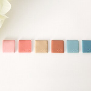 Polymer Clay Color Recipe - Native Flora - Sculpey Souffle and Premo ...