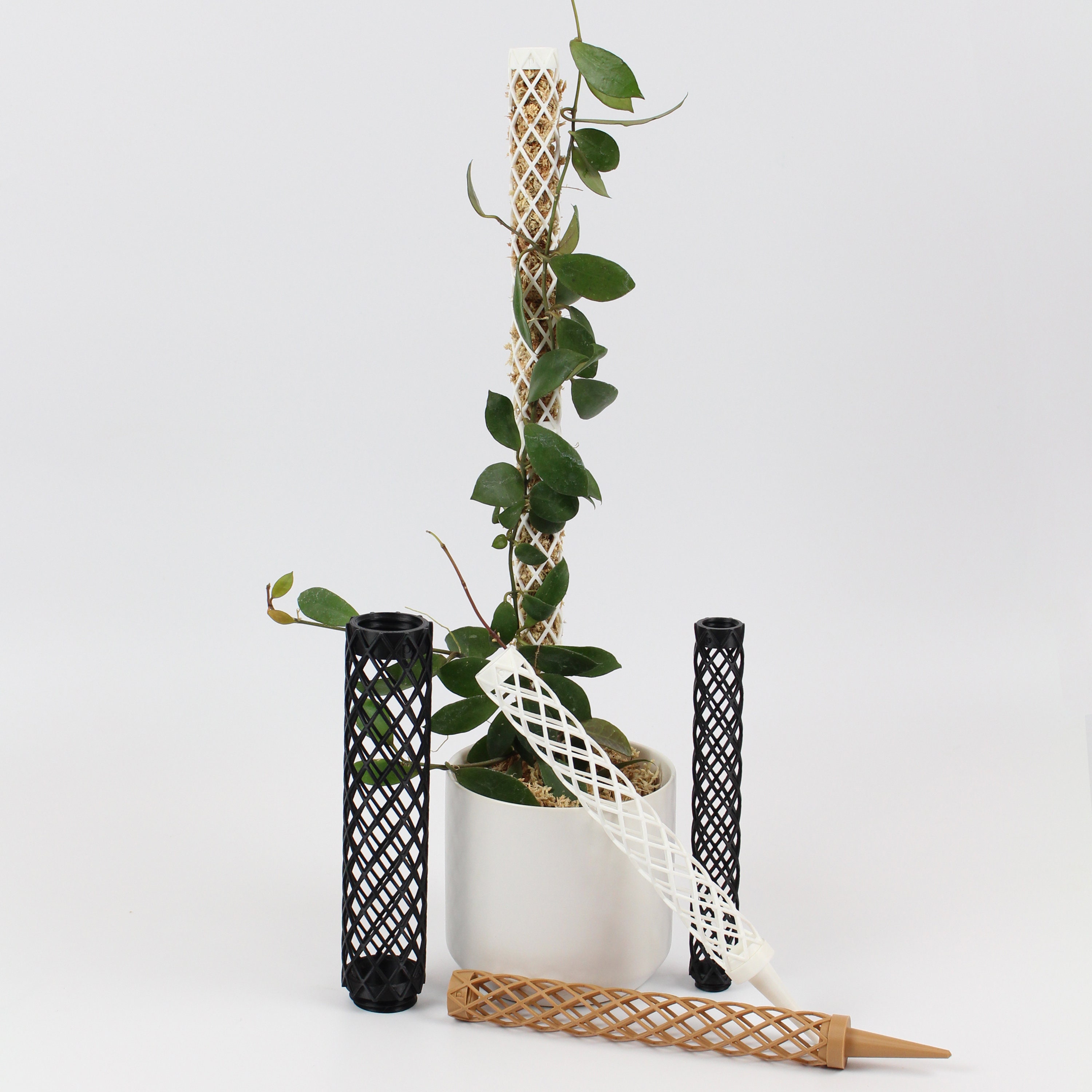 Modular Mini Moss Pole Set - Etsy