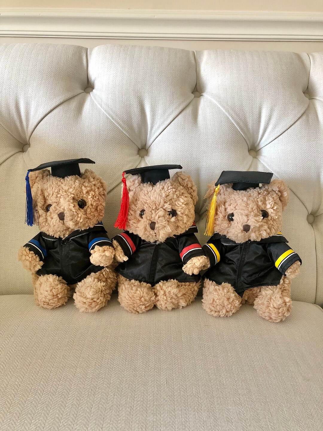 Graduation Gift Bear, 2024 Graduation, Grad Bear, Diploma, Teddy Bear ...