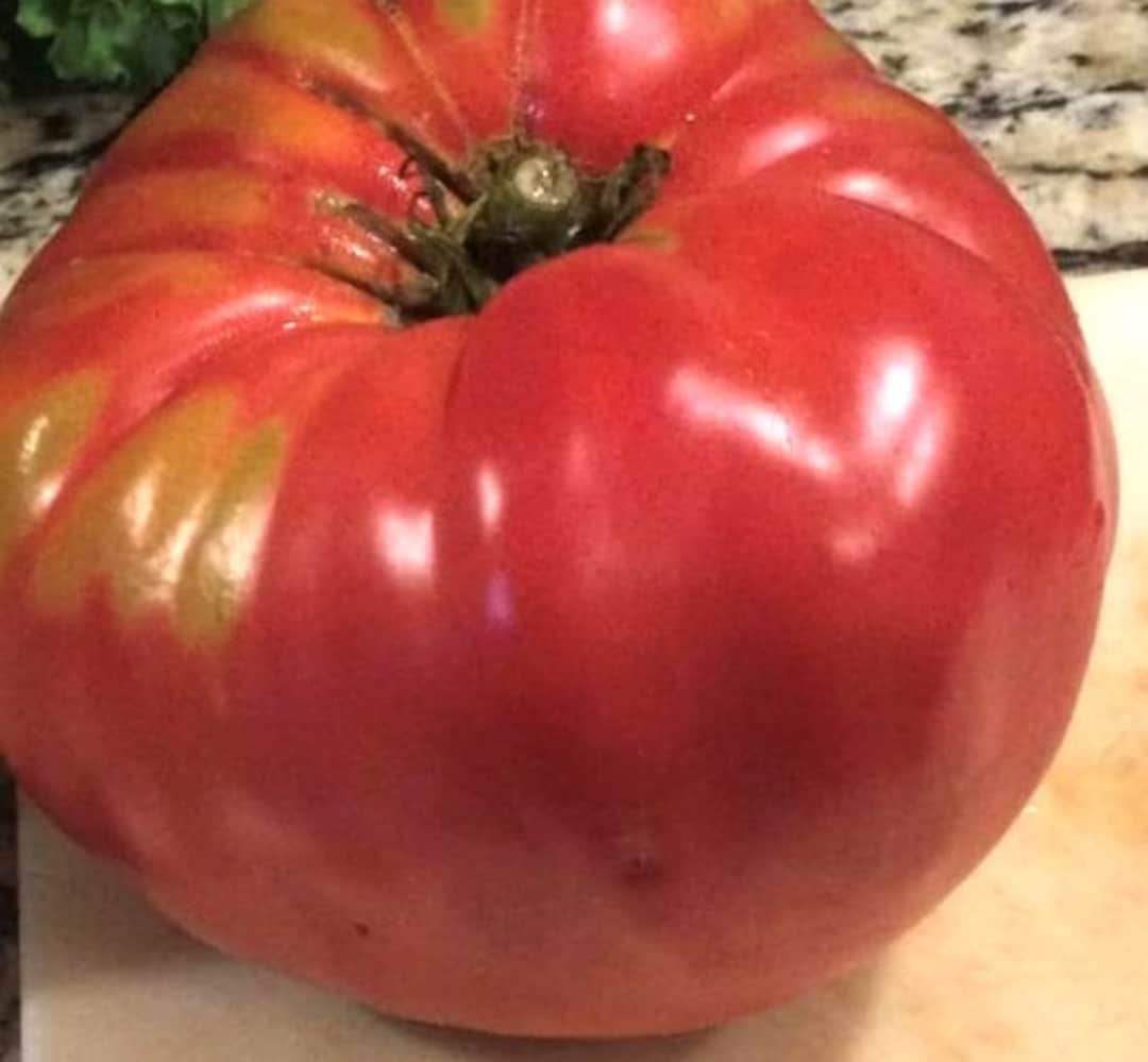 German Pink Tomato Seeds | Heirloom | Organic - Etsy