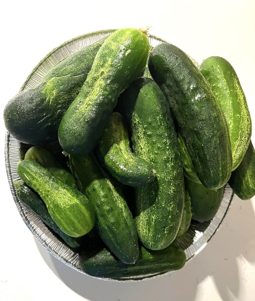 Spacemaster Cucumber Seeds | Heirloom | Organic - Etsy