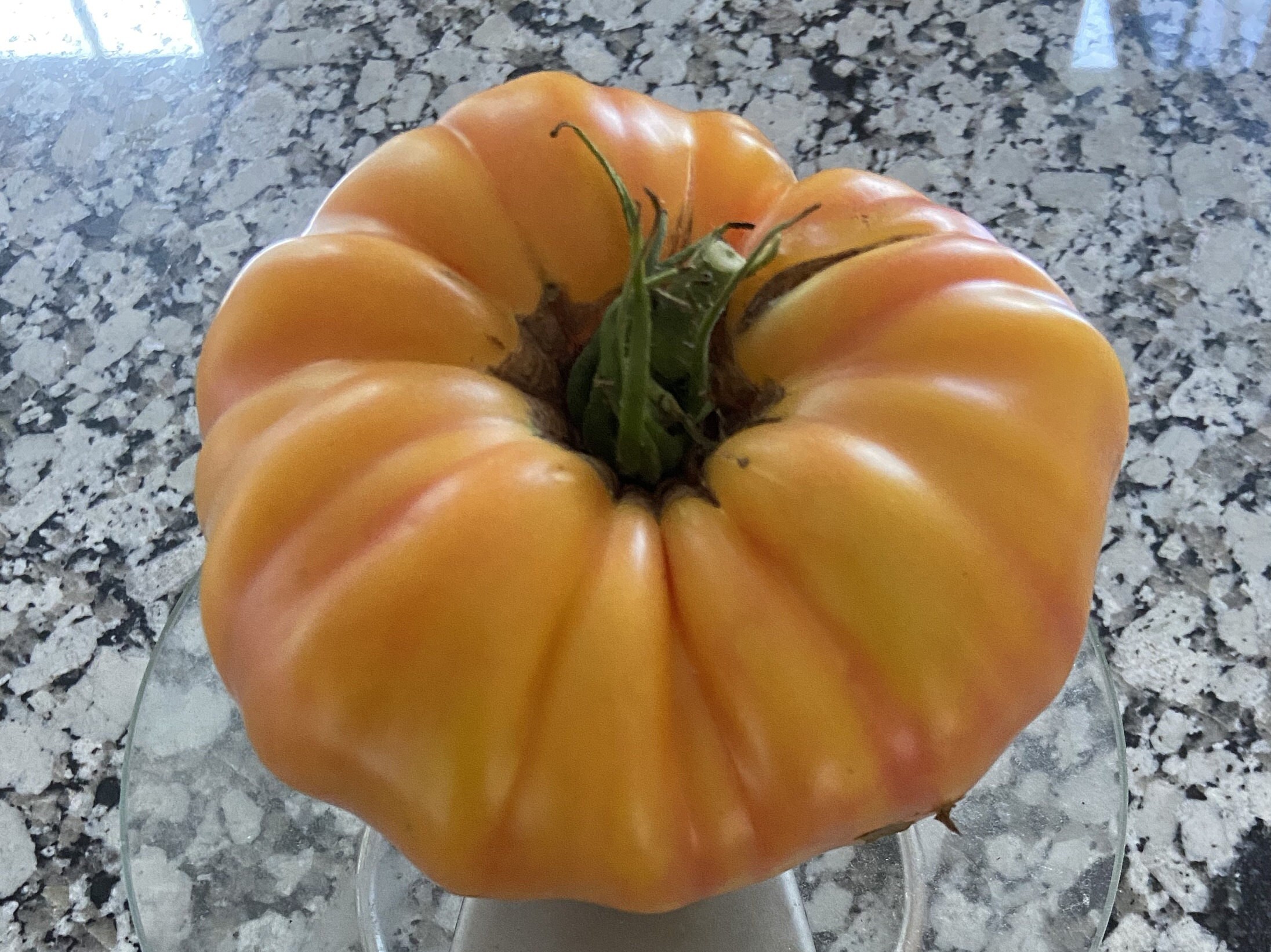Pineapple Tomato Seeds Heirloom Organic - Etsy