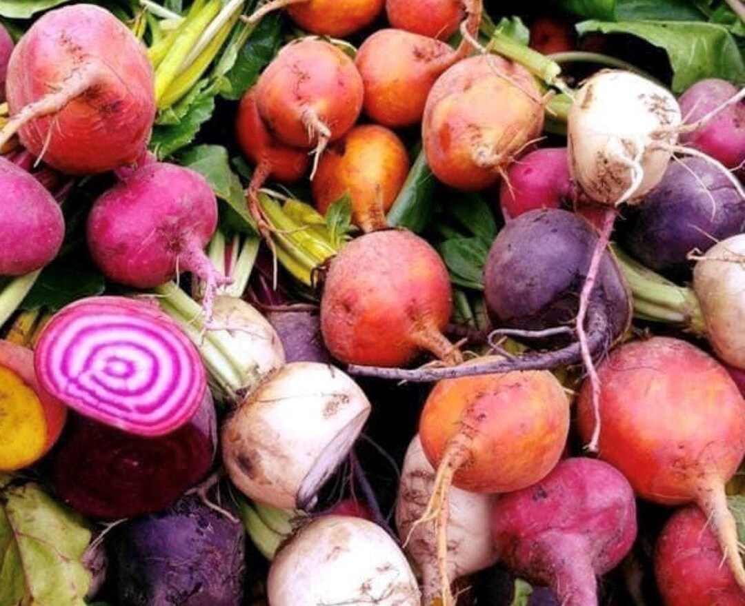 Heirloom Beet Mix | Heirloom | Organic - Etsy