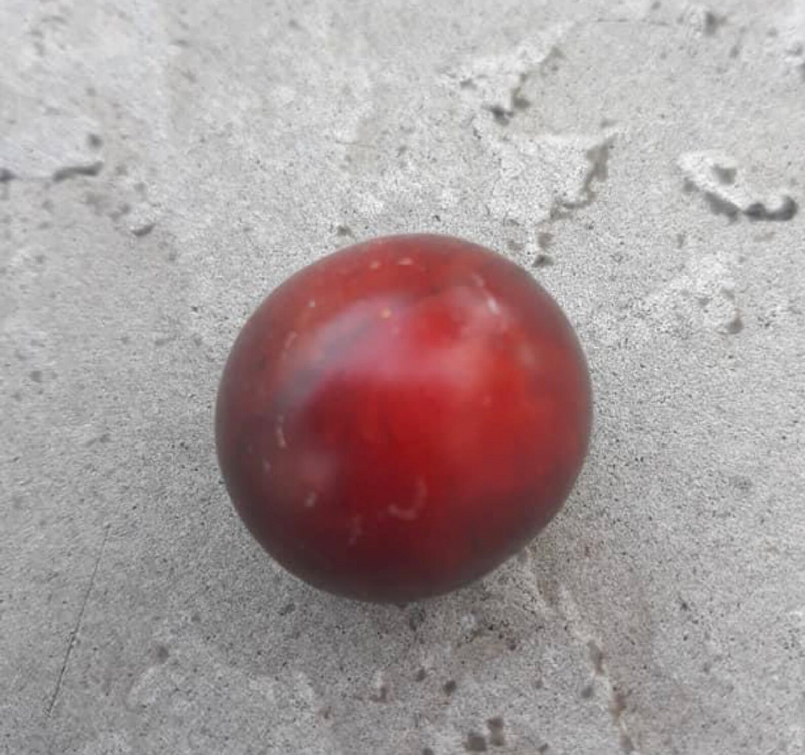 Indigo Cherry Drop Tomato Seeds Organic Open-pollinated - Etsy