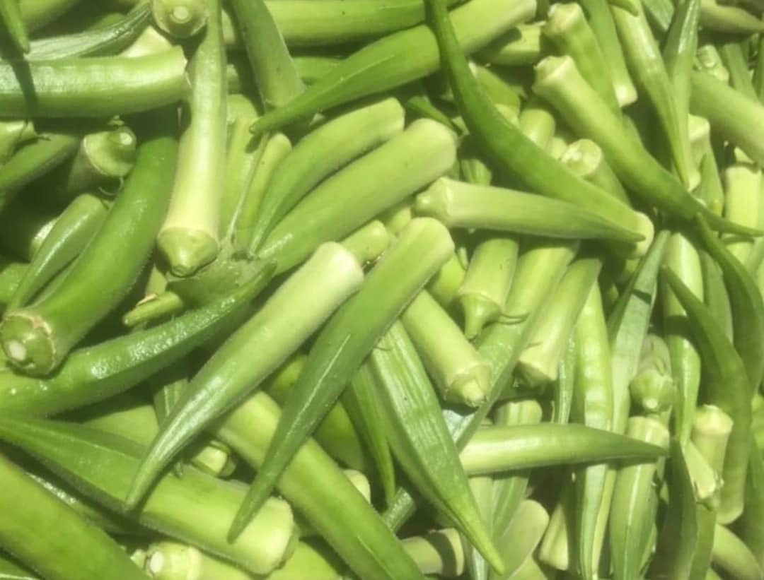 Emerald Okra Seeds | Heirloom | Organic - Etsy