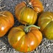 Federle Tomato Seeds Heirloom Organic Paste Tomato - Etsy