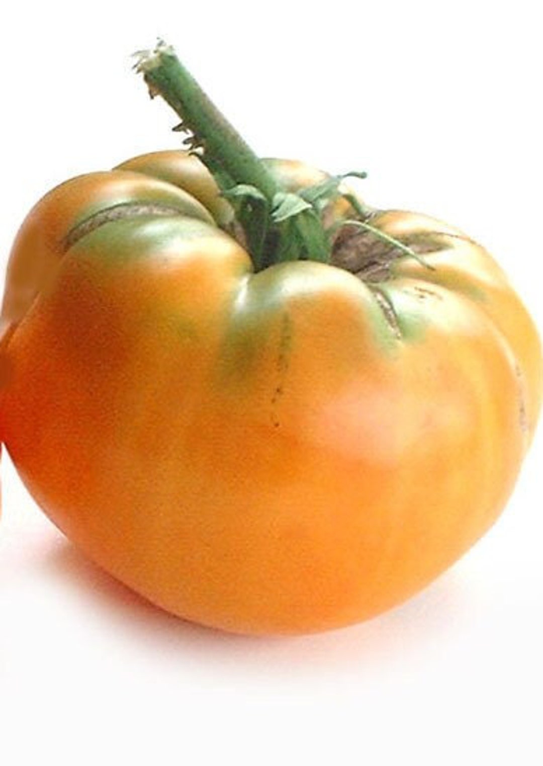 Persimmon Tomato Seeds | Heirloom | Organic - Etsy
