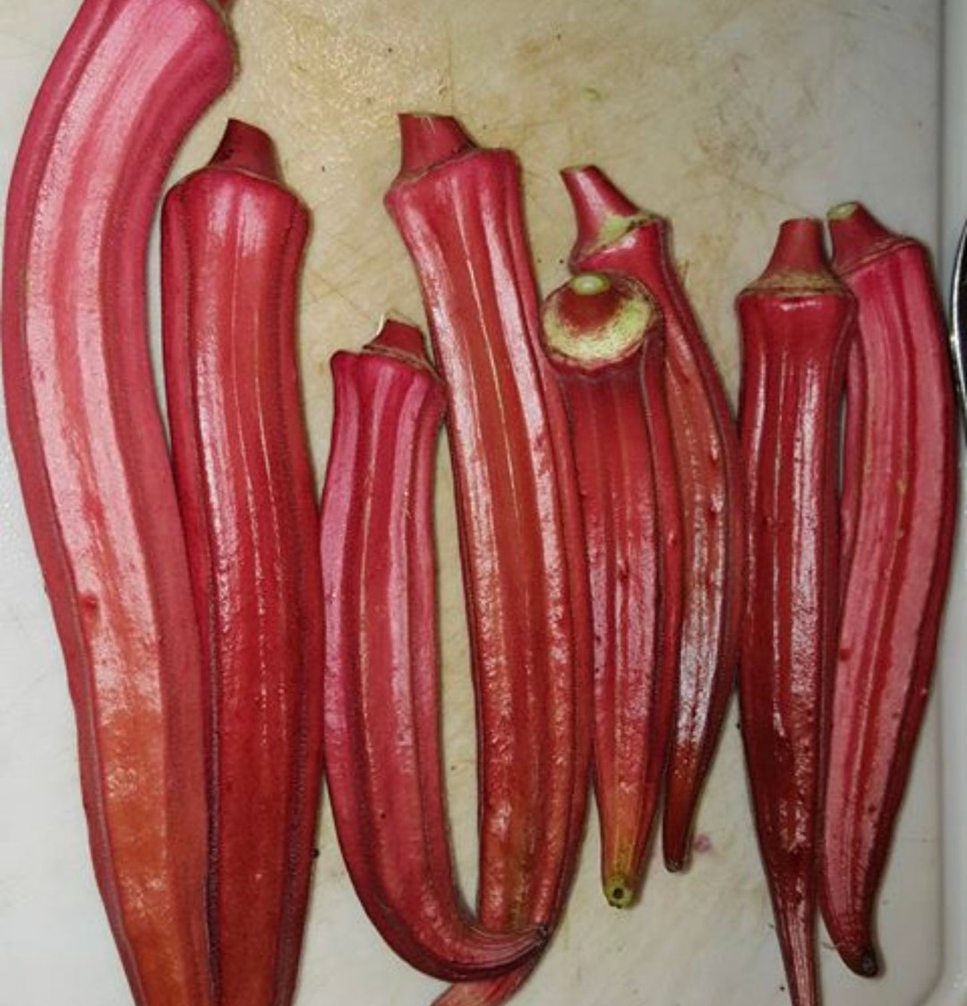 Jing Orange Okra Seeds | Organic - Etsy