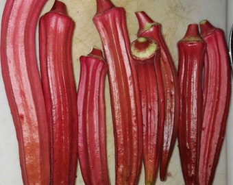 Jing Orange Okra Seeds, Jing Abelmoschus Esculentus AB0630 - Etsy