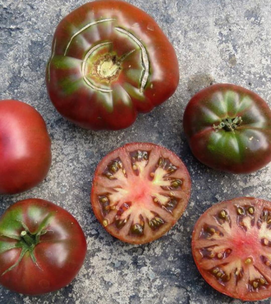 Black Brandywine Tomato (regular Leaf) Seeds | Heirloom | Organic - Etsy