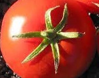 Heirloom Tomato - Etsy
