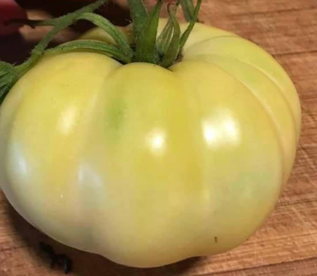 White Tomesol Tomato Seeds | Organic - Etsy