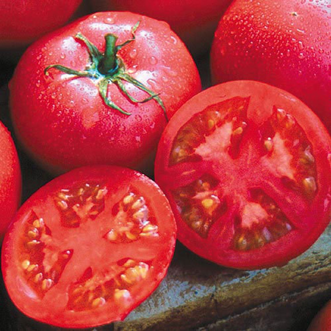 Eva Purple Ball Tomato Seeds | Heirloom | Organic - Etsy