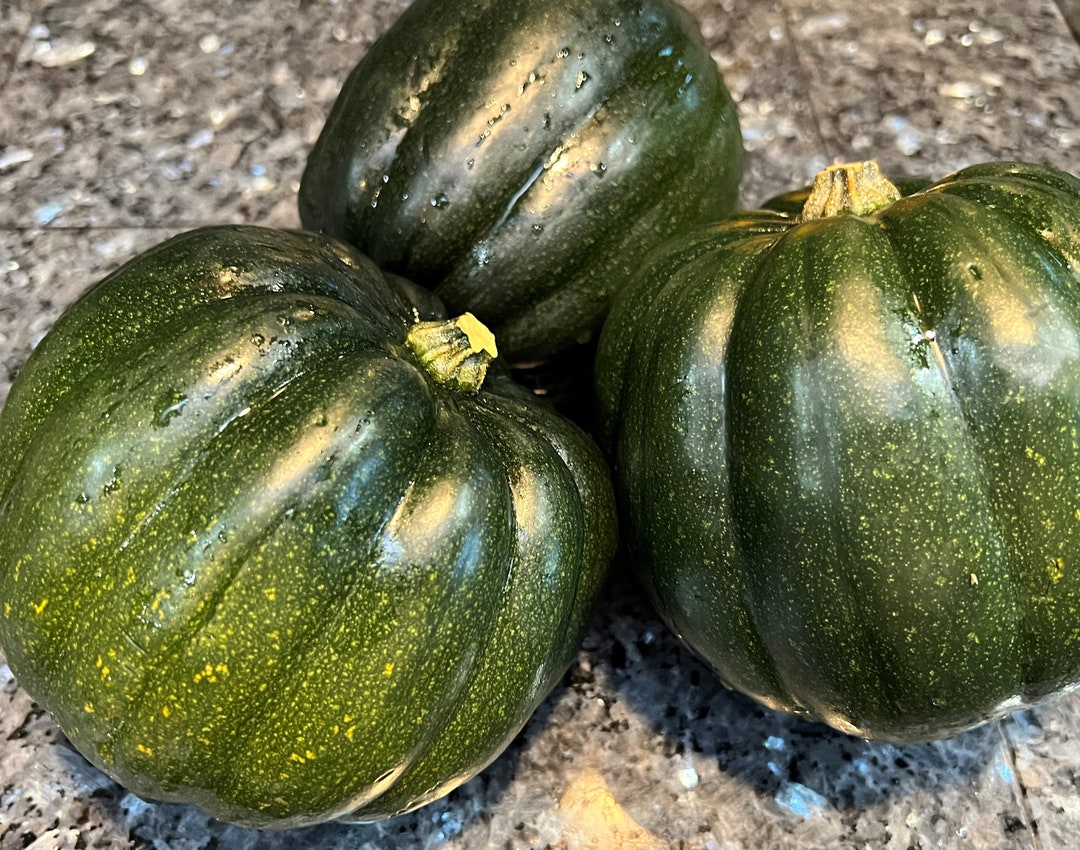 Table Queen Acorn Winter Squash Seeds | Heirloom | Organic - Etsy