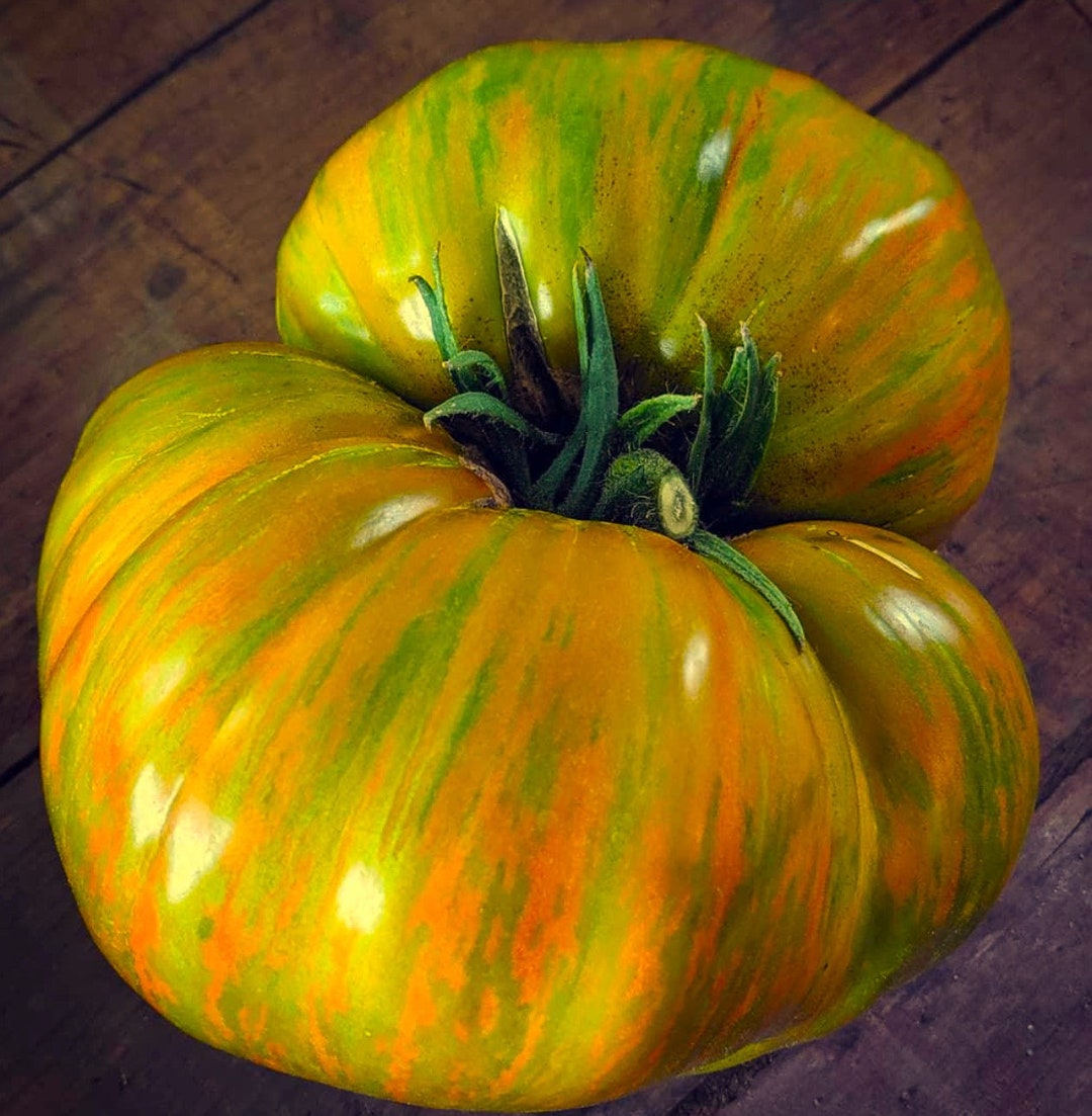 Green Berkeley Tie-dye Tomato Seeds | Organic - Etsy