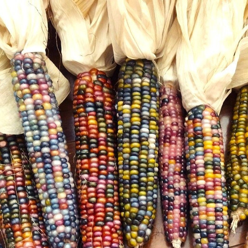 Glass Gem Corn - Etsy