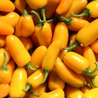 Inferno Hot Peppers Seeds - Etsy