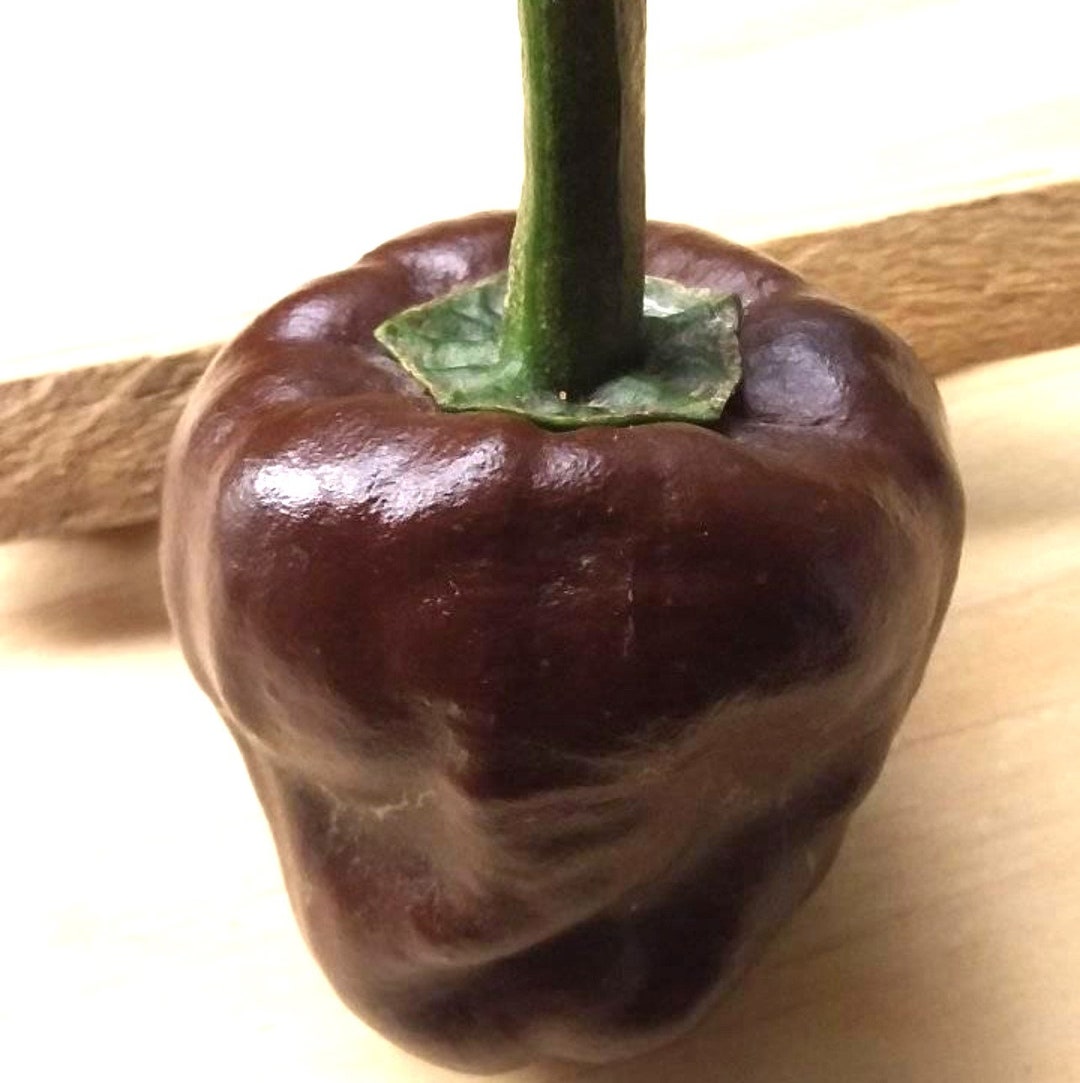 Chilhuacle Negro Pepper Seeds | Hot | Heirloom | Organic - Etsy