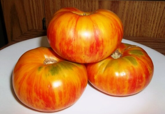 Flame Tomato Floral & Garden Crafts Craft Supplies & Tools Gardening ...