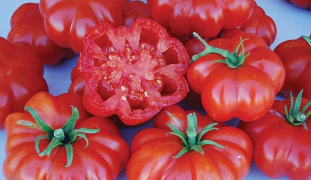 Rosso Sicilian Tomato Seeds | Heirloom | Organic - Etsy