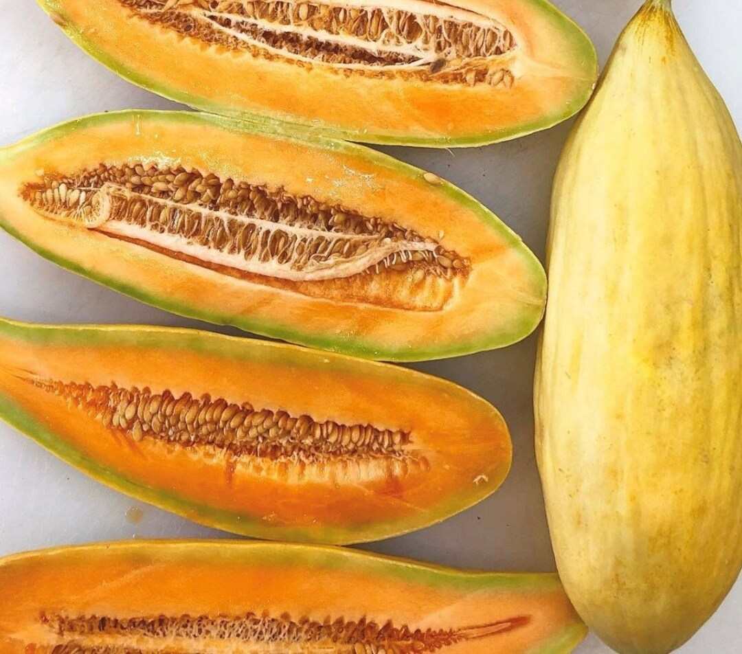 Banana Melon Seeds | Heirloom - Etsy