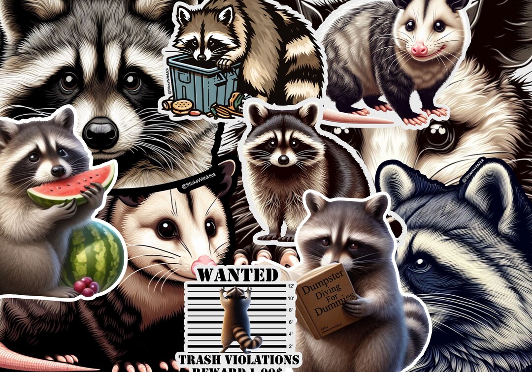 Raccoon Opposum Sticker Pack Raccoon Sticker Packs Opossum - Etsy