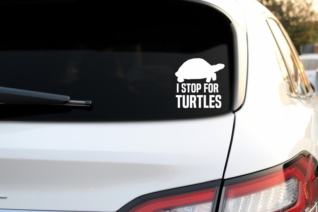 I Stop for Turtles Decal Car Decal / Truck Decal / Van Decal - Etsy