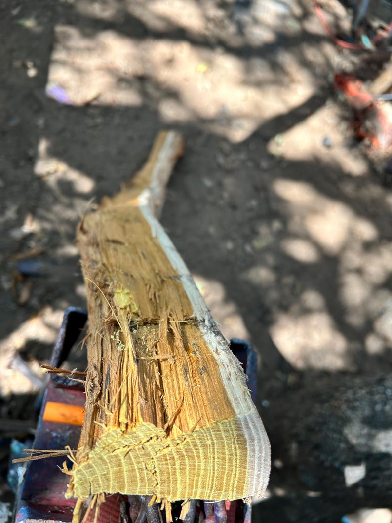 Osage Bow Stave 67 Inches - Etsy