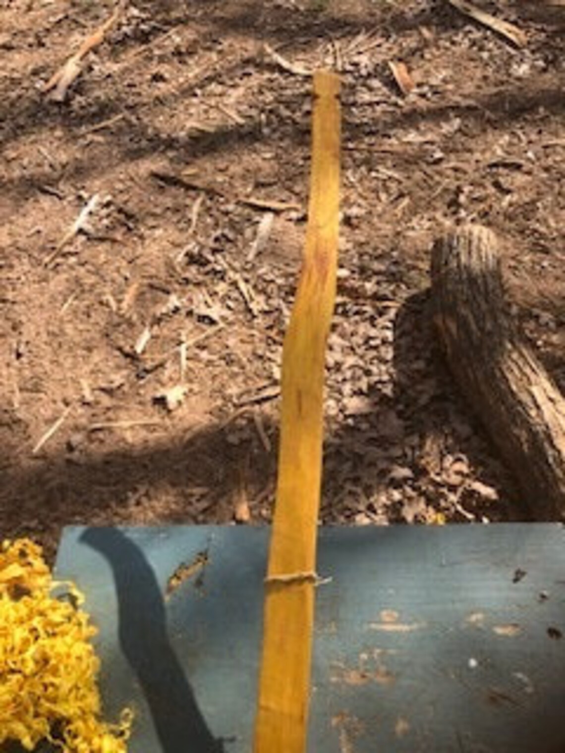 Osage Orange Wood Bow for Hunting Some in Stock or Custom - Etsy