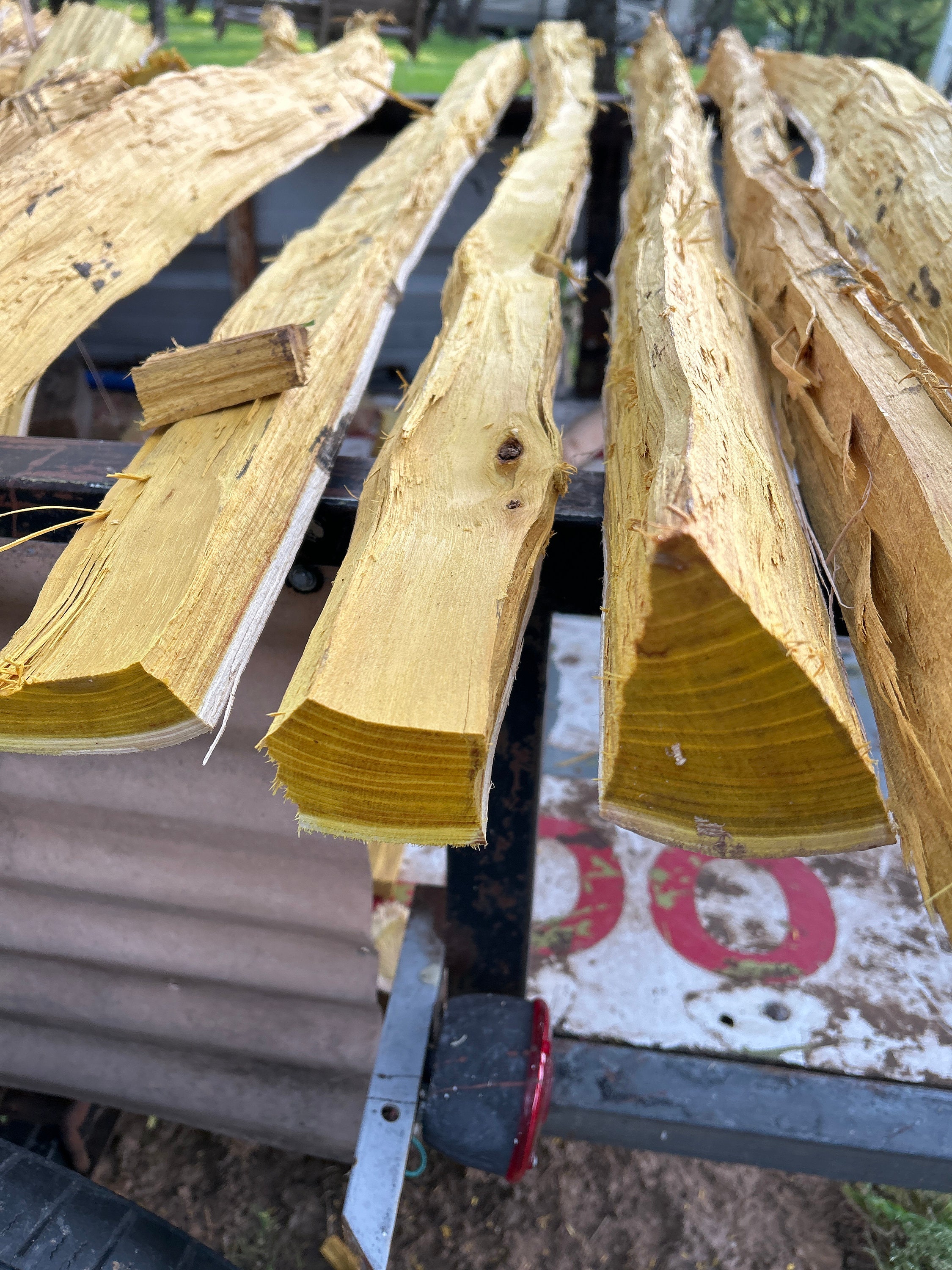 Osage Bow Staves 60 up to 80 Inches - Etsy