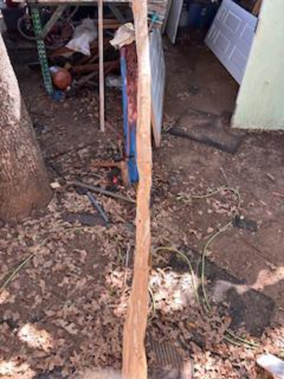 88 Inch Osage Bow Stave - Etsy