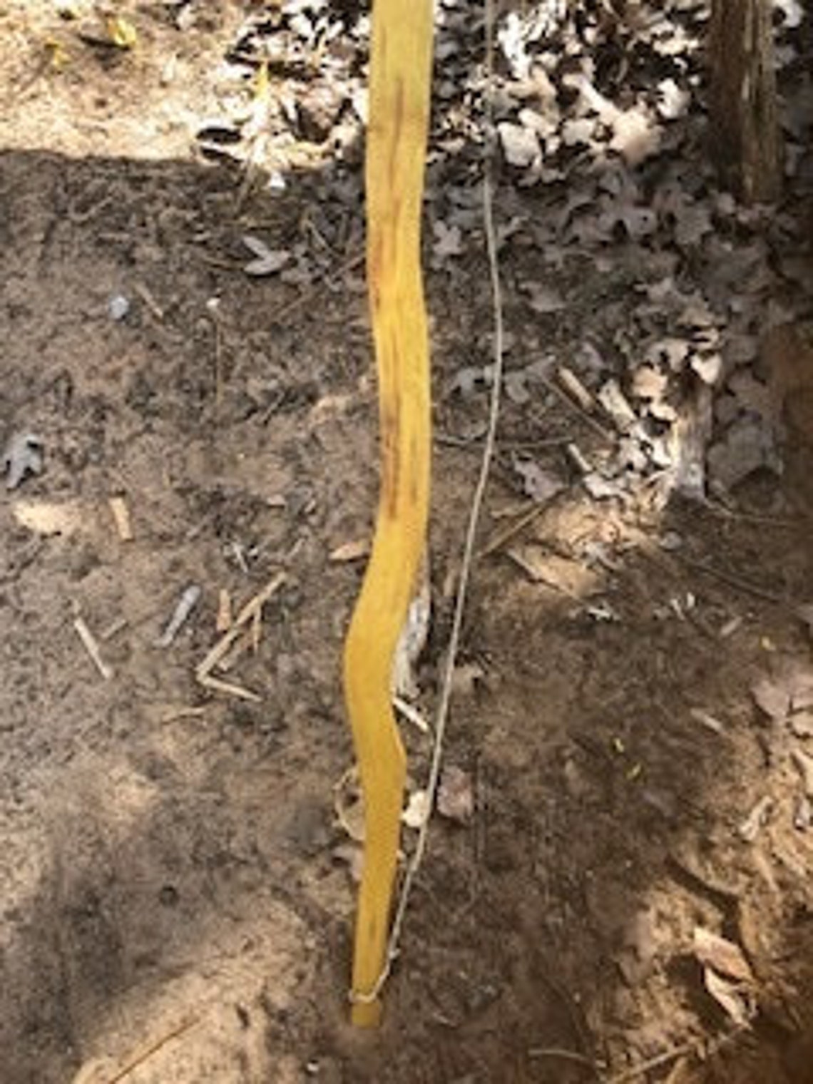 Osage Orange Wood Bow for Hunting Some in Stock or Custom - Etsy