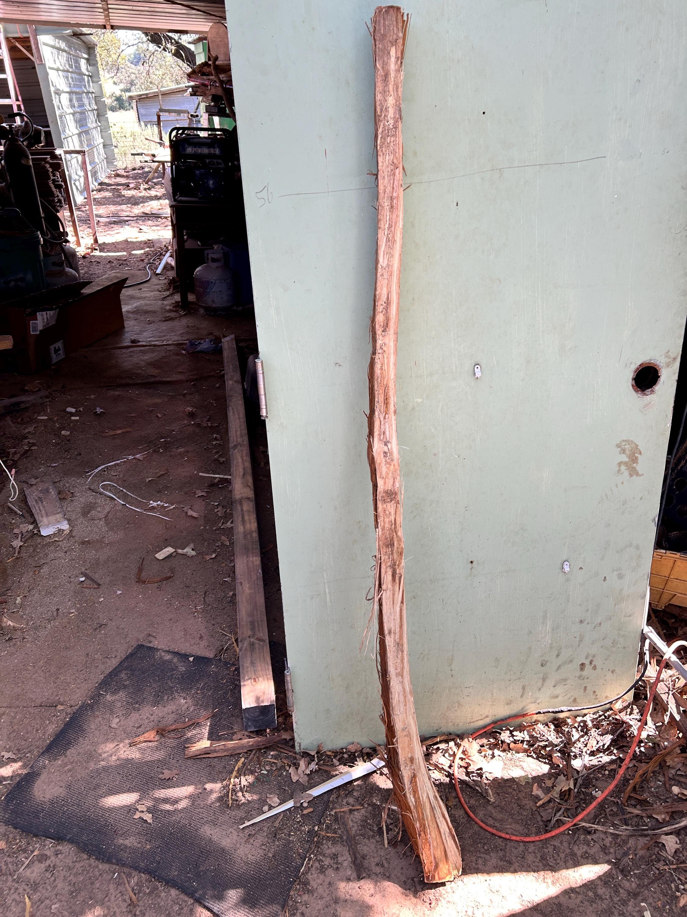 Osage Bow Stave 67 Inches - Etsy