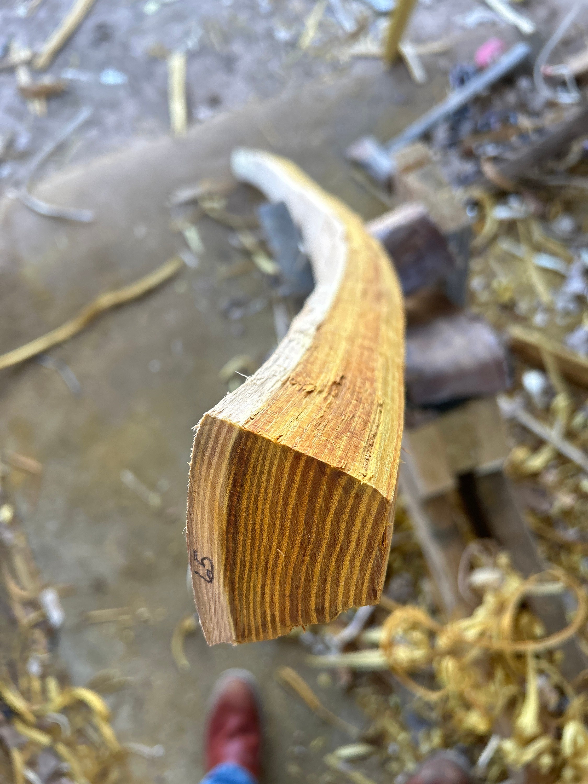 Osage Bow Stave 65 Inches - Etsy