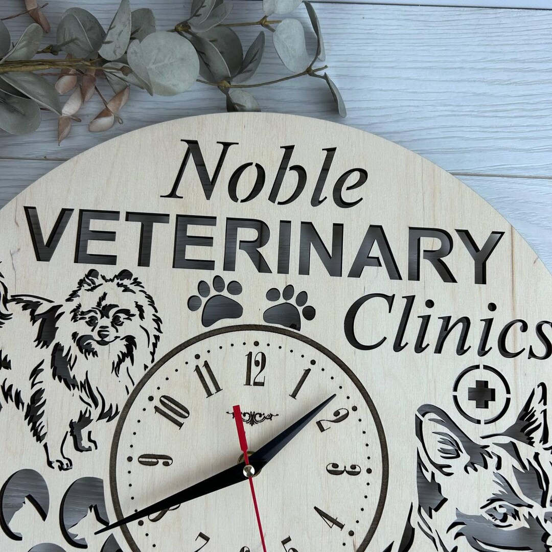 Custom Wood Clock, Clinic Wall Decor, Natural Wood Clock, Medical Wall ...