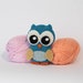 Felt Owl Craft Kit Owl DIY Kit and Pattern Sew Your Own Owl - Etsy