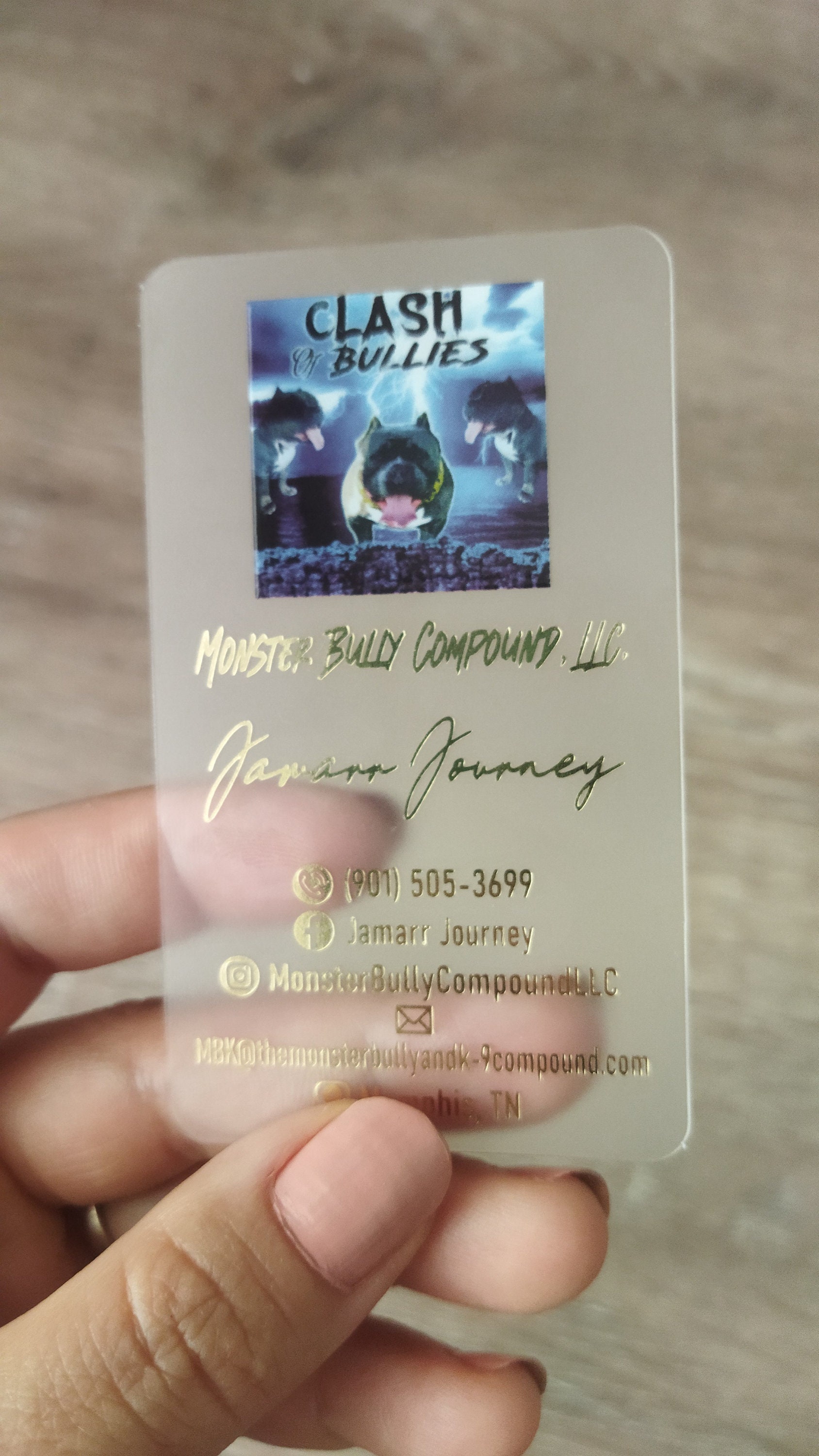 Transparent Plastic Business Cards, Acrylic, Pet Shop, Dog Trainer ...