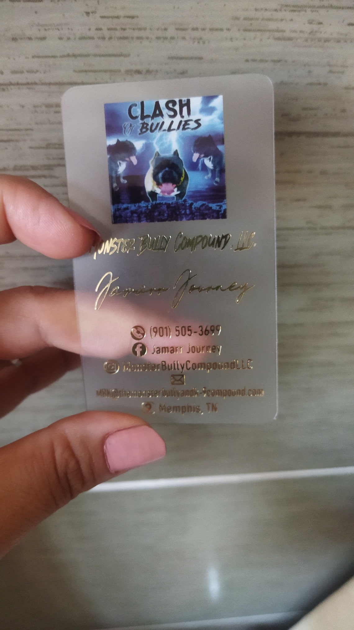 Transparent Plastic Business Cards, Acrylic, Pet Shop, Dog Trainer ...