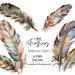 Feather Watercolor Clipart Boho Feather Digital Clipart Feather Wall ...