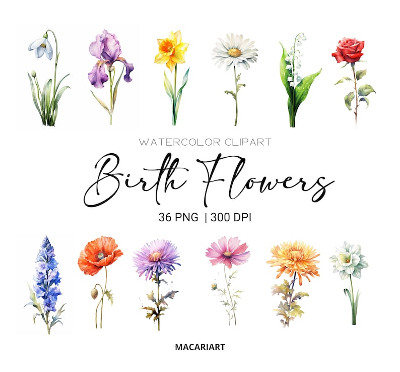 Watercolor Birth Month Flowers Clipart Bundle Digital Watercolor Birth ...