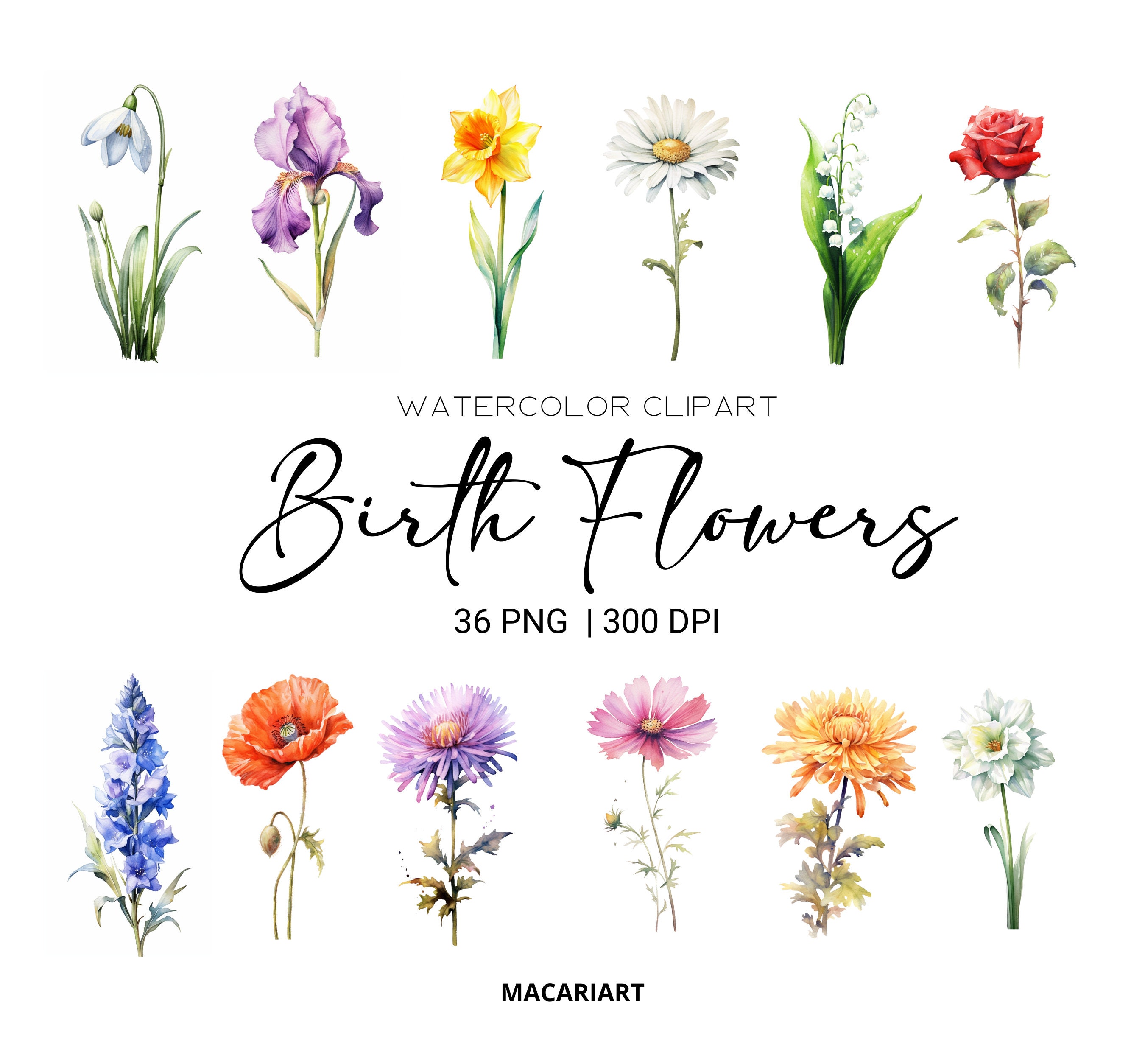 Watercolor Birth Month Flowers Clipart Bundle Digital Watercolor Birth ...