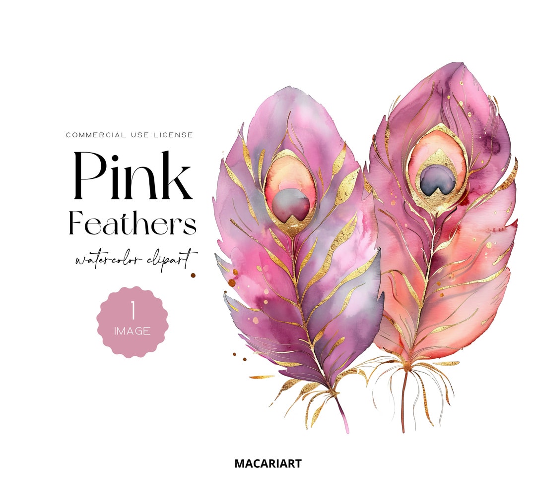 Pink Peacock Feather Clipart Watercolor Feather Boho Peacock Art Gorgeous Peacock Clipart