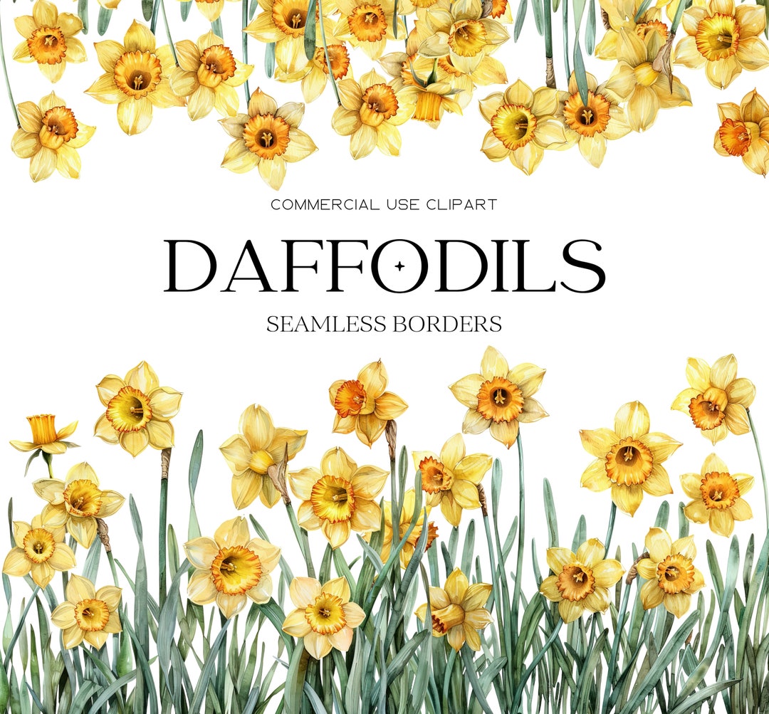 Daffodil Clipart Yellow Flower Clipart March Birth Flower Watercolor ...