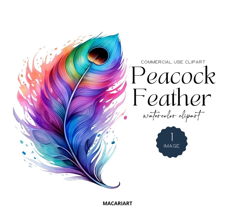 Peacock Feather Clipart Watercolor Colorful Feathers Bird Clip Art ...