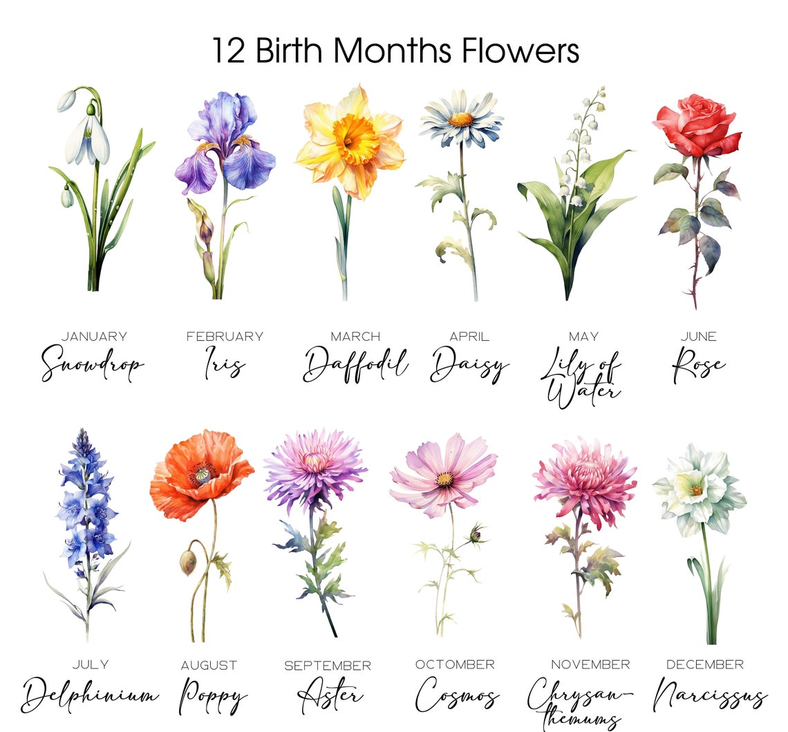 Watercolor Birth Month Flowers Clipart Bundle Digital Watercolor Birth ...