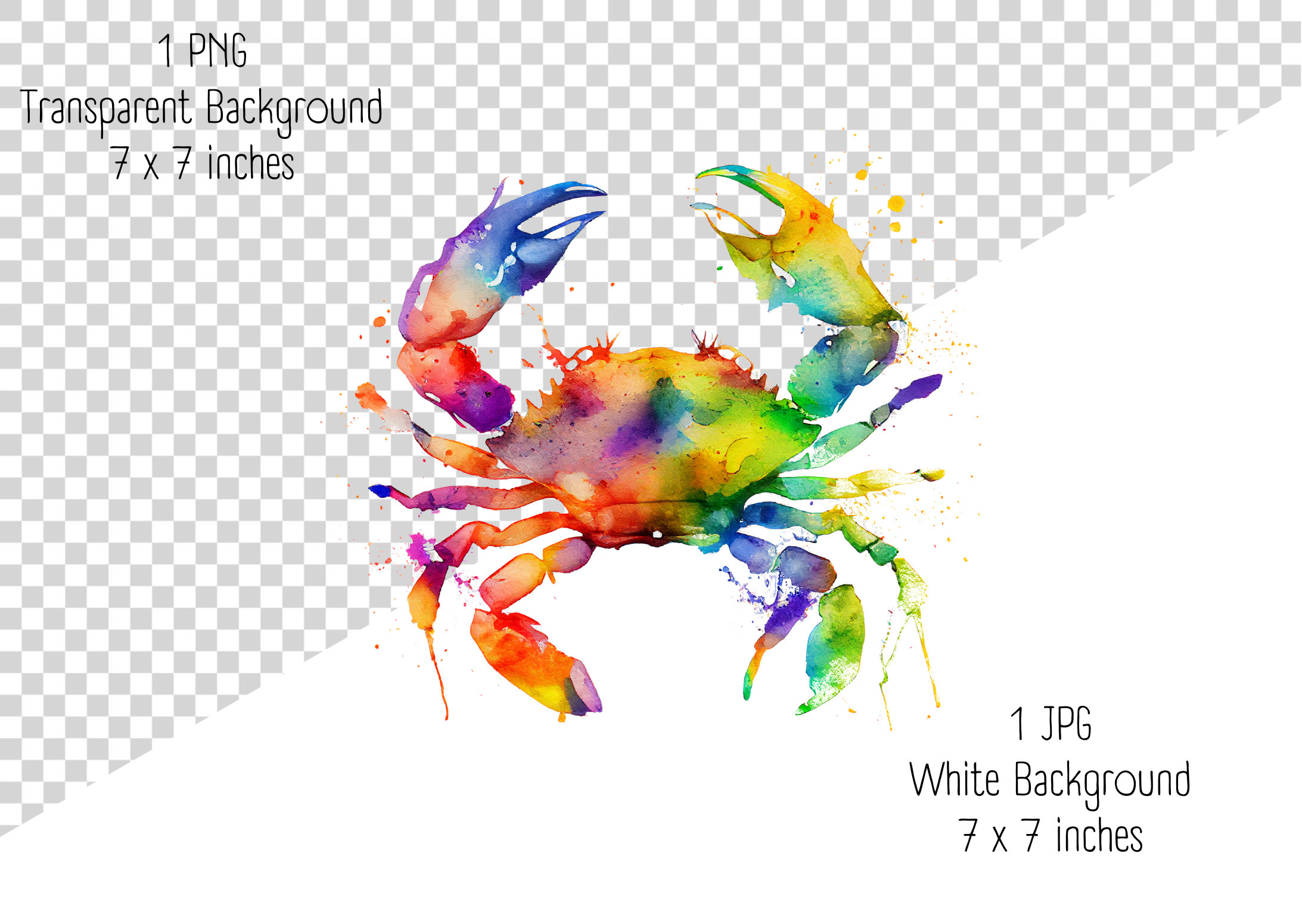 Beach Art Watercolor Clipart Crab Wall Decor Watercolor Fish Wall Art ...