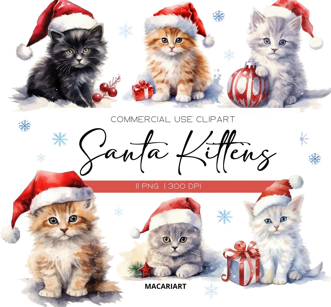 Christmas Kitten Clipart Christmas Cats Watercolor Clipart Bundle ...