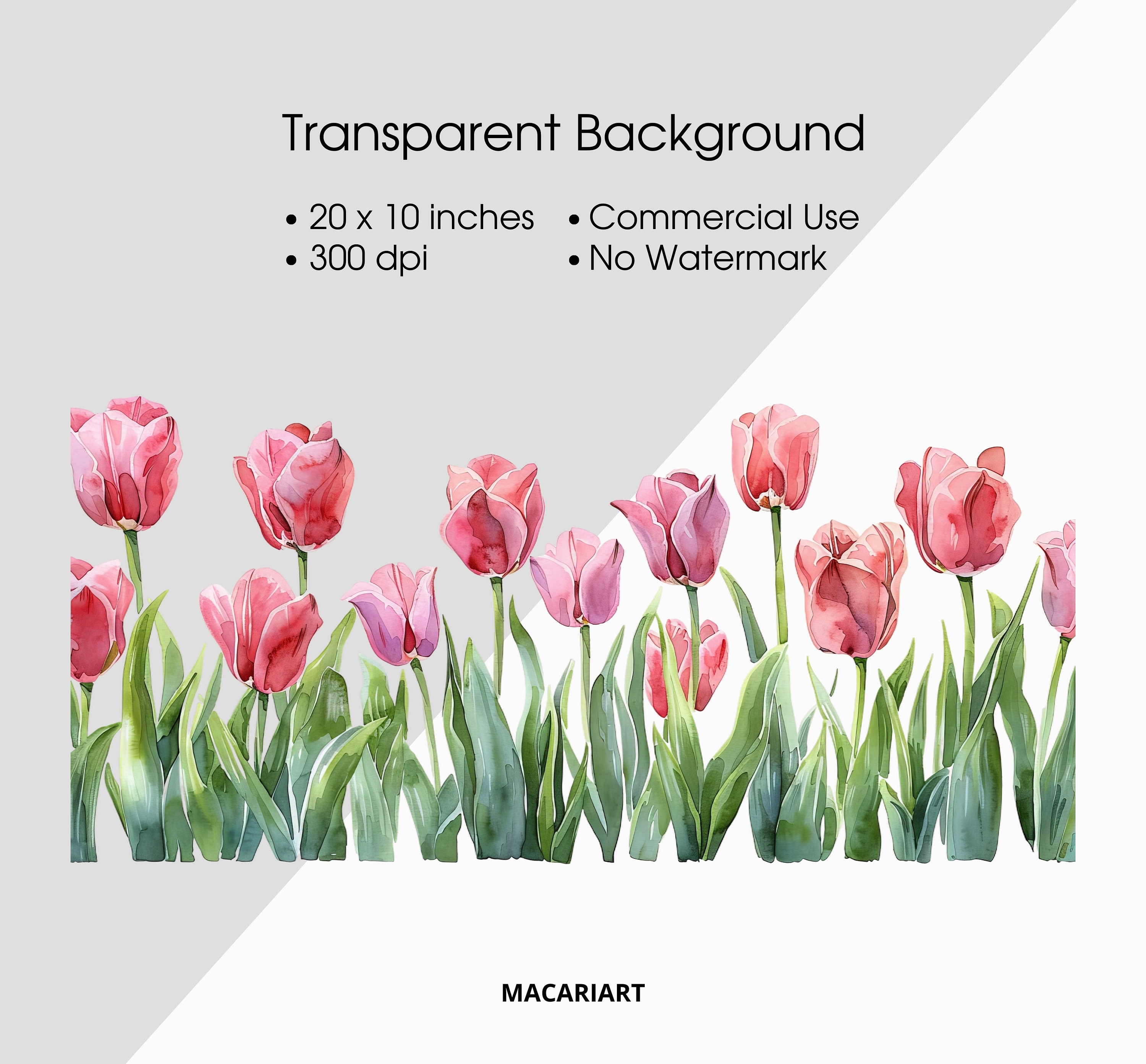 Watercolor Tulips Clipart Spring Flowers Pink Tulip Png Watercolor ...