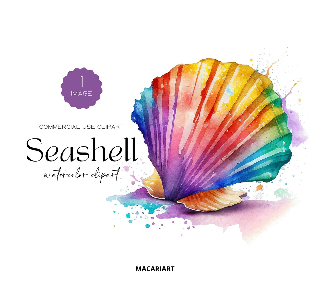 Watercolor Seashell Clipart Ocean Clipart Sea Beach Clipart Seashell ...