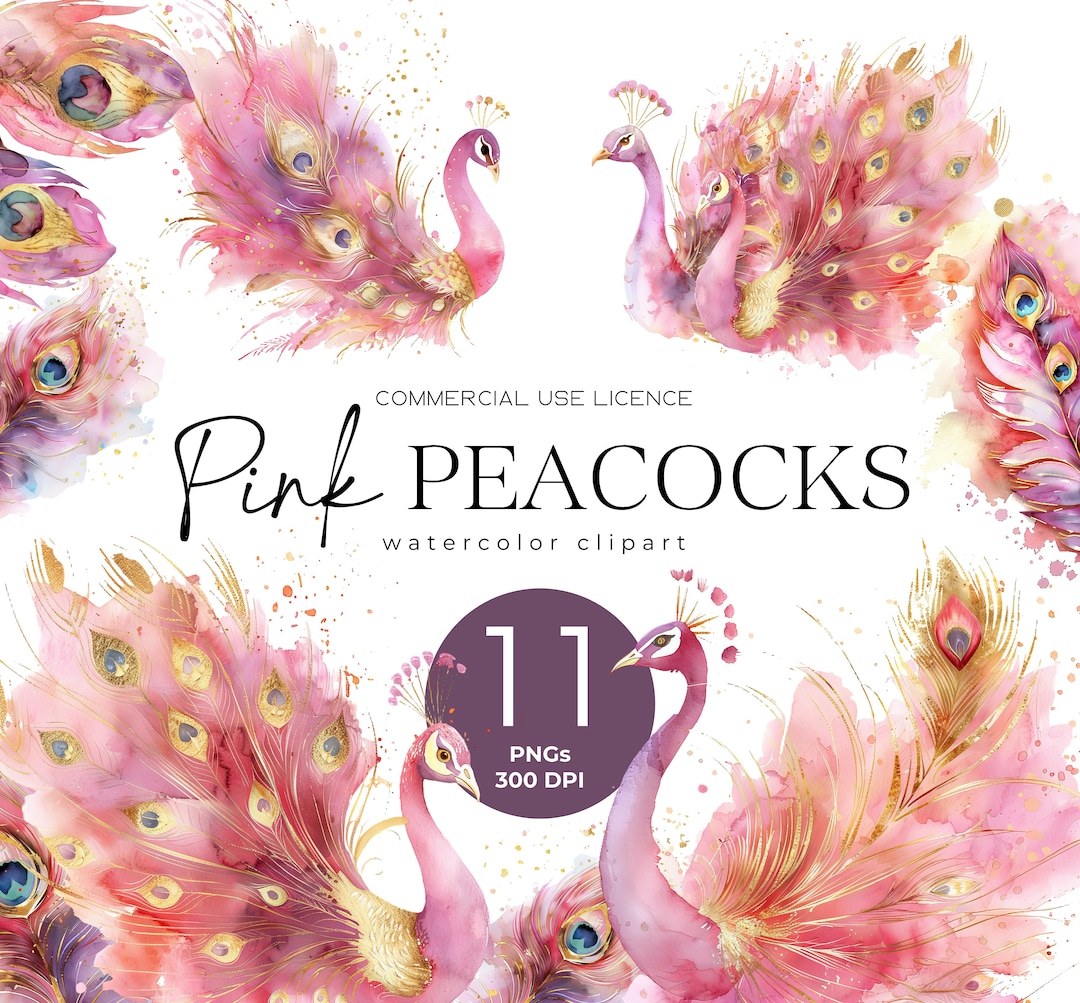 Watercolor Pink Gold Peacocks Clipart Bird Boho Peacock Art Cute Animal ...